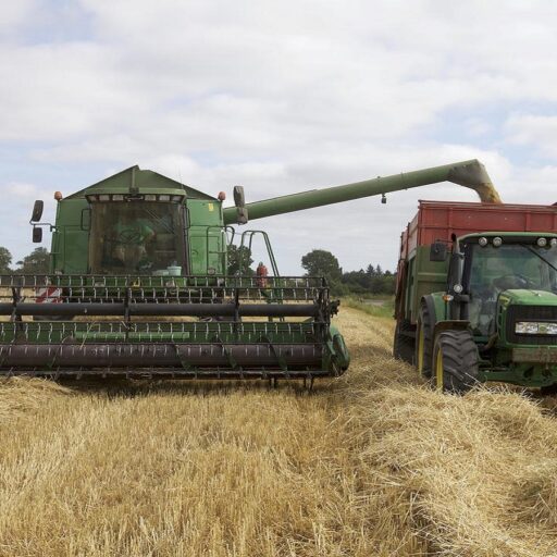 Home - Om Agro India